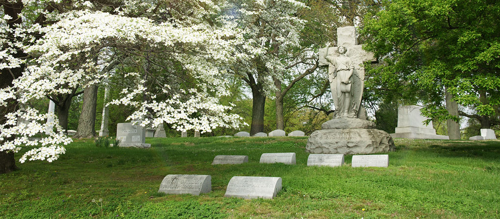 Thank you for responding to Relocation - Social - Bellefontaine Cemetery