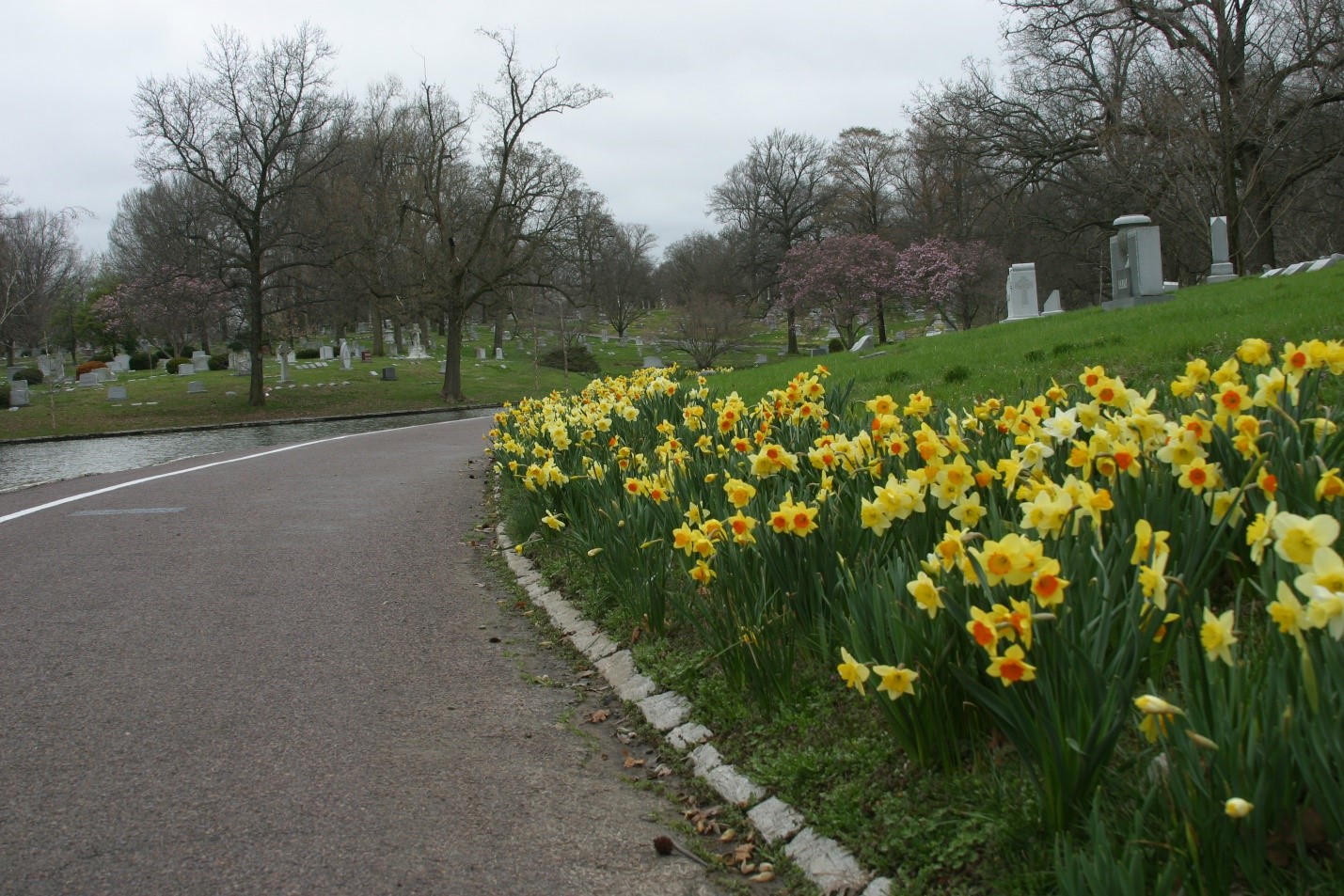 Celebrating National Gardening Day - Bellefontaine Cemetery